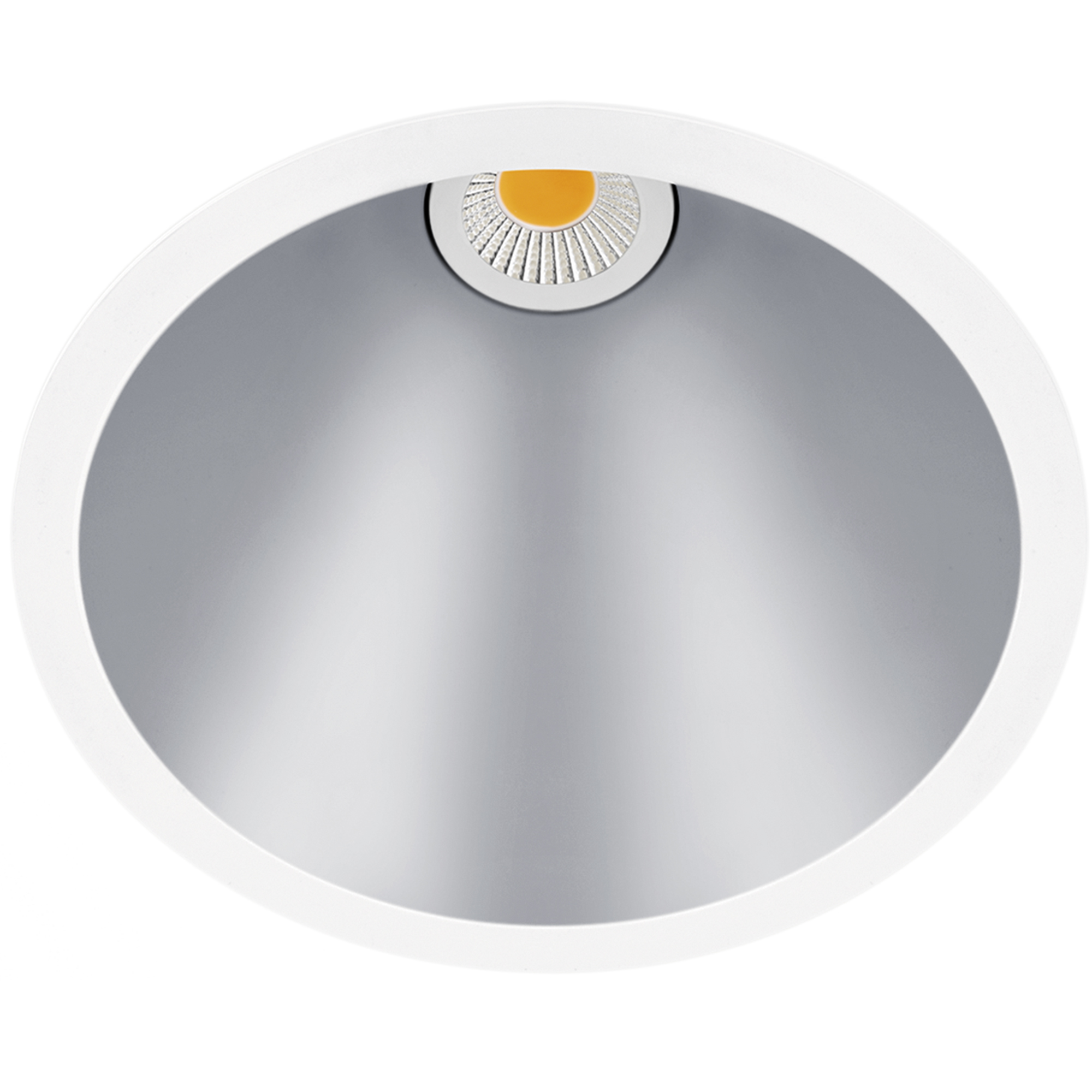 wasp-large-prolight-design - Prolight Design