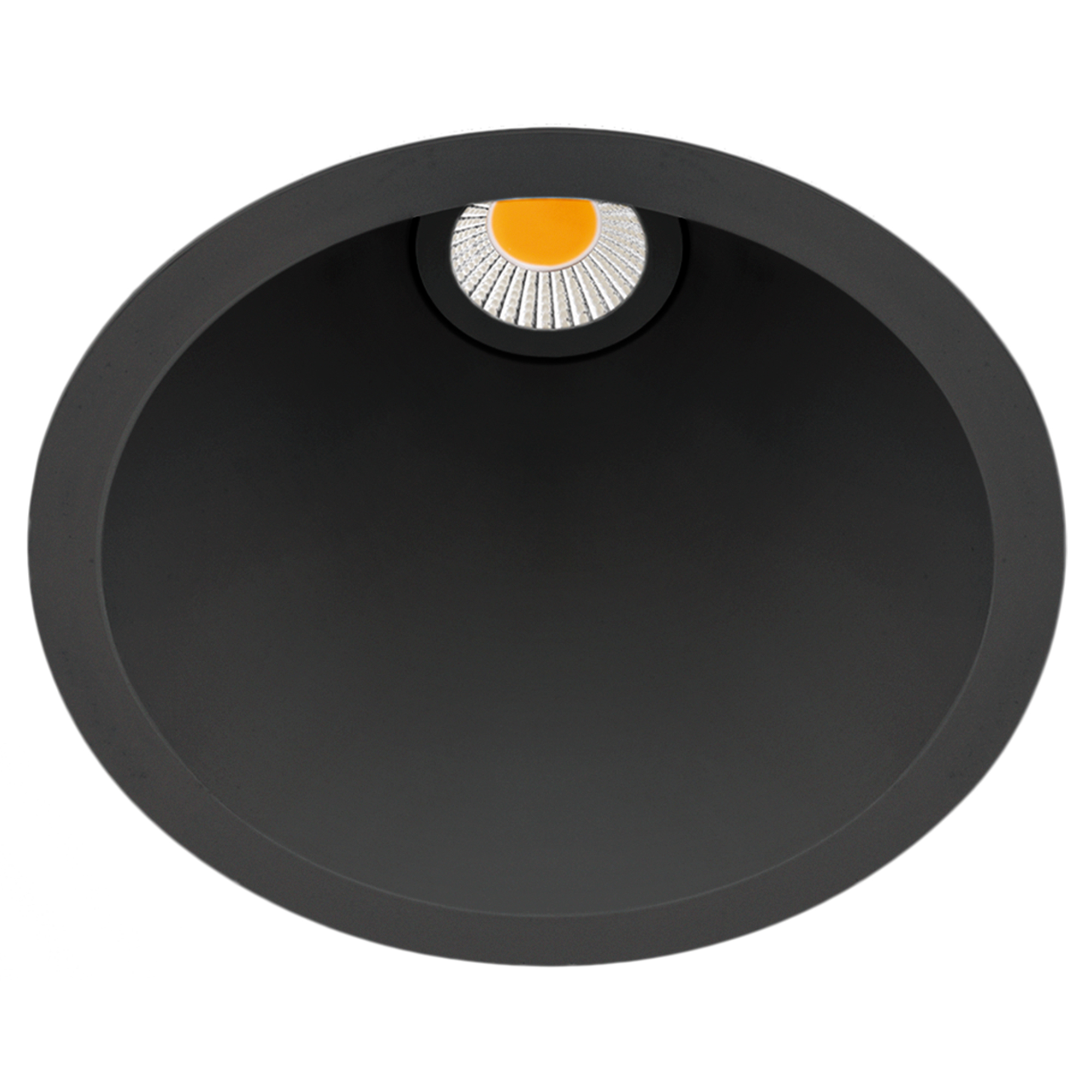wasp-medium-prolight-design - Prolight Design